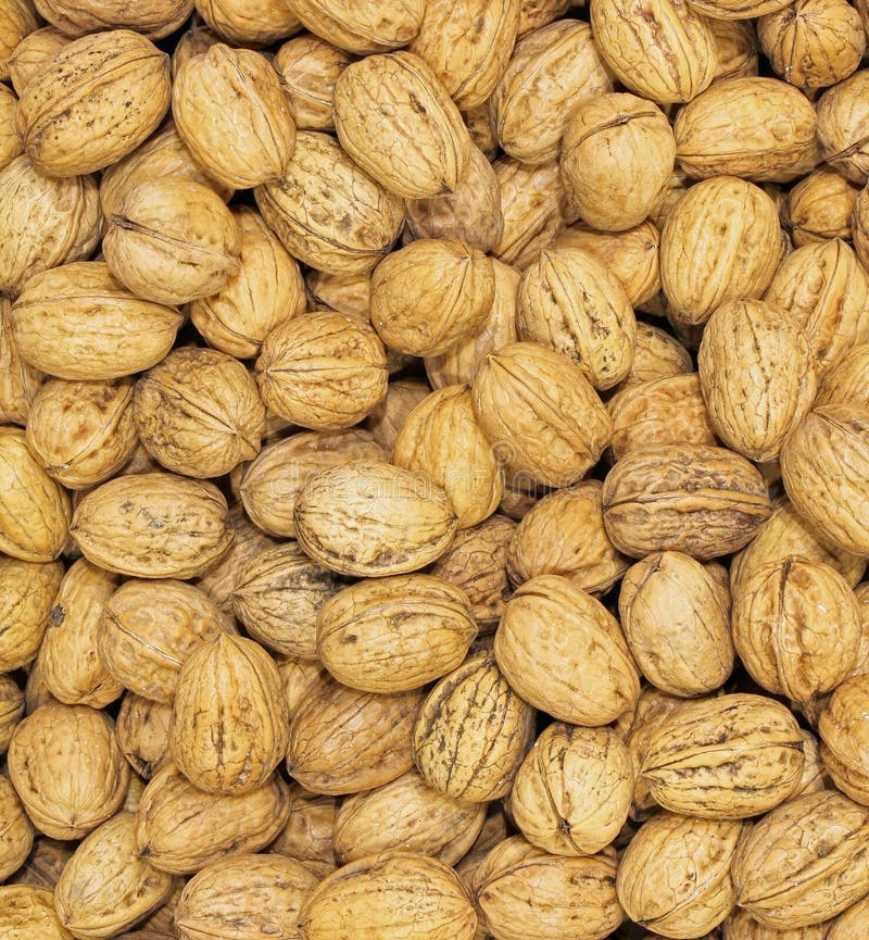 Background of Nuts Collected Stock Image - Image of dried, fruits ...