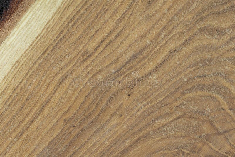 Background of the Oak Wood Surface. Natural Pattern. Wood Layers Stock ...