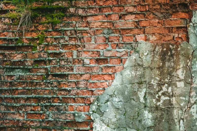Brickwall overgrown stock photo. Image of wall, crosswise - 28335674