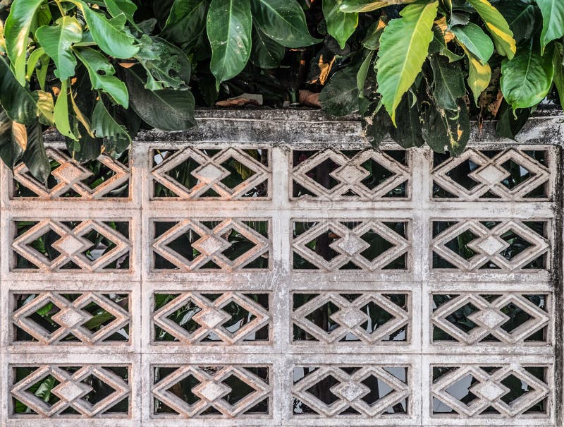 Background of Old Brick Wall Texture with Plant & Tree Stock Photo ...