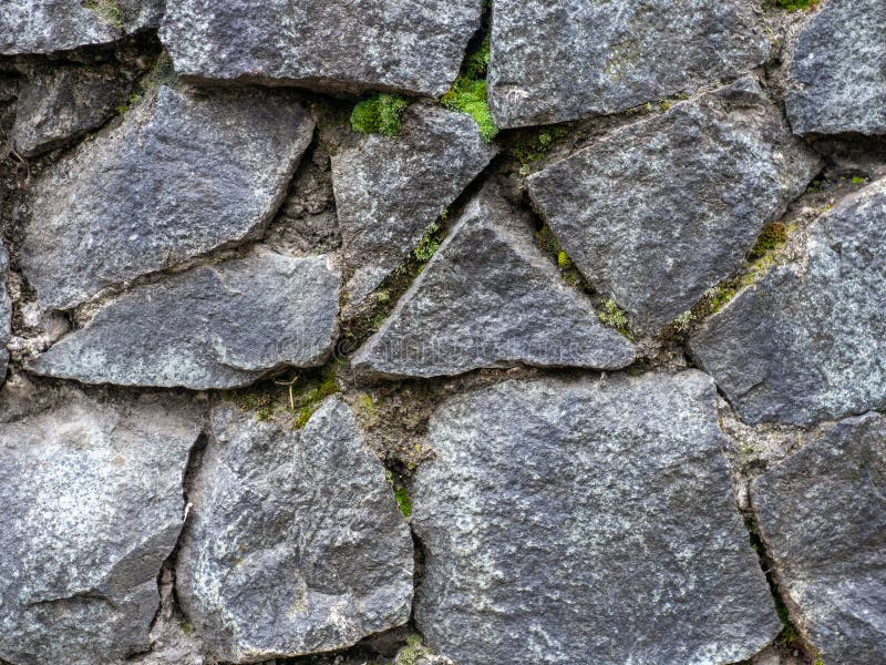 Background from Old Masonry. Gray Stones in the Moss Stock Photo ...