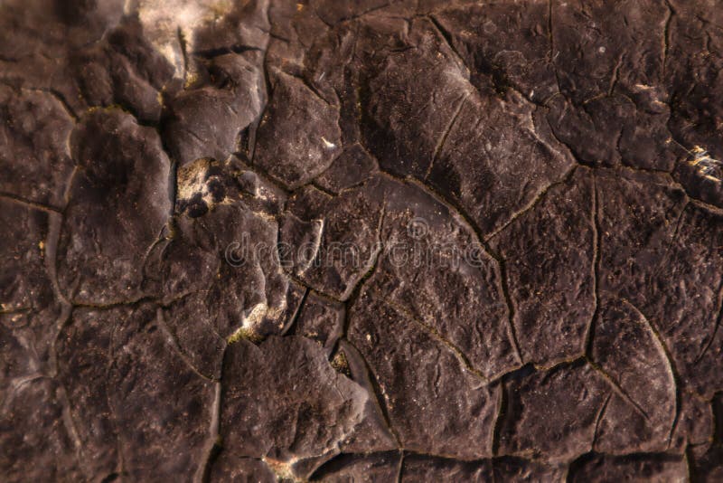 Background of Old Molten Tar on a Metal Base. Stock Photo - Image of ...