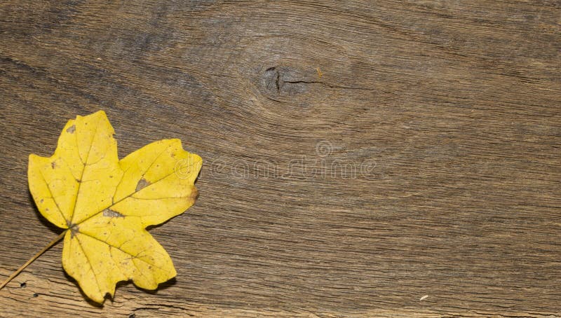 WOOD GRAIN TEXTURE stock photo. Image of alone, grain - 162761262