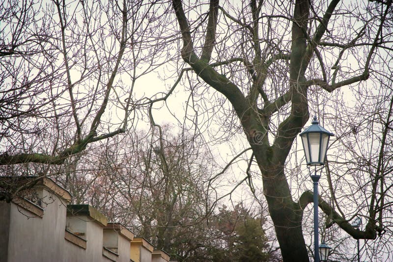 Background of Old Park in the Europe Stock Image - Image of soft ...