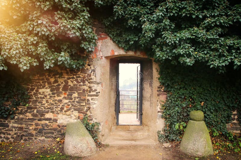 Background of Old Park in the Europe Stock Photo - Image of ...