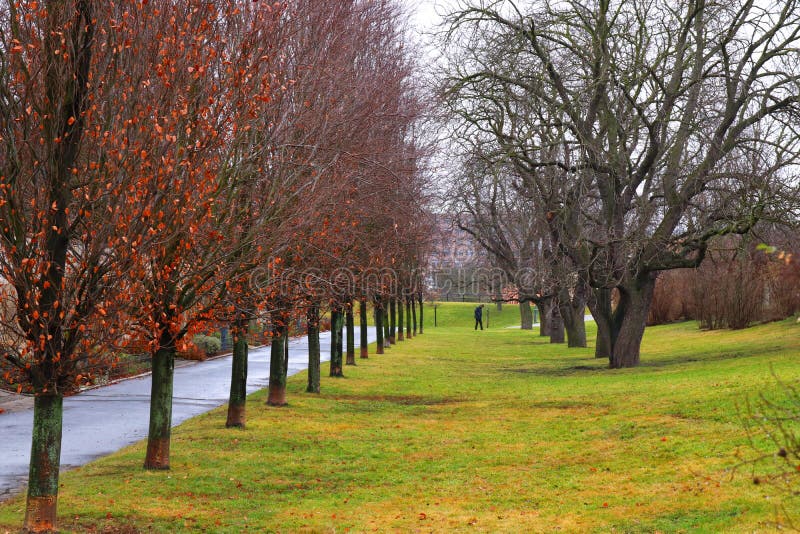 Background of Old Park in the Europe Stock Photo - Image of plant, moss ...