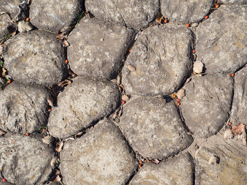 Round cobblestone pavement stock photo. Image of city - 140142702