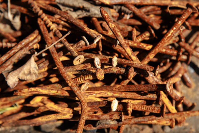 Background of the Old Rusty Nails Stock Image - Image of metal ...