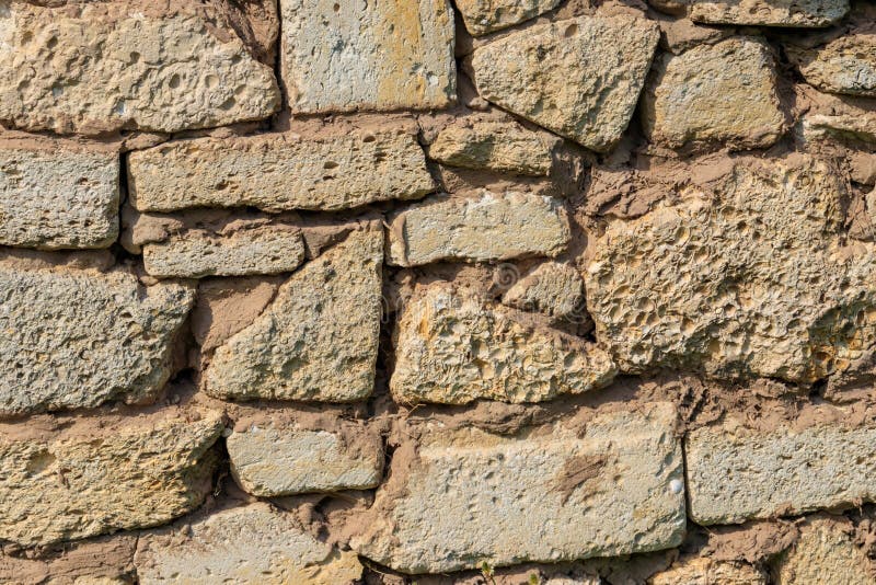 Background of Old Shell Rock Block Wall Stock Photo - Image of closeup ...