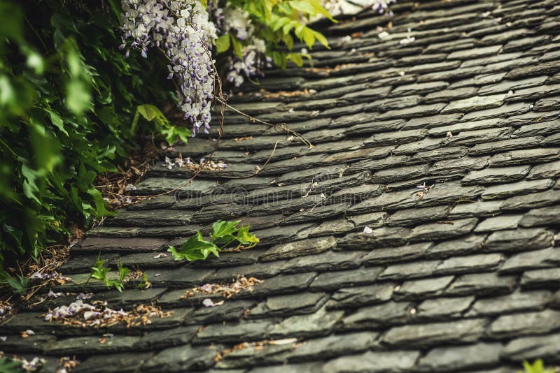 Background of Old Stone Roof Tiles Stock Image - Image of texture ... Background of Old Stone Roof Tiles Stock Image - Image of texture ...