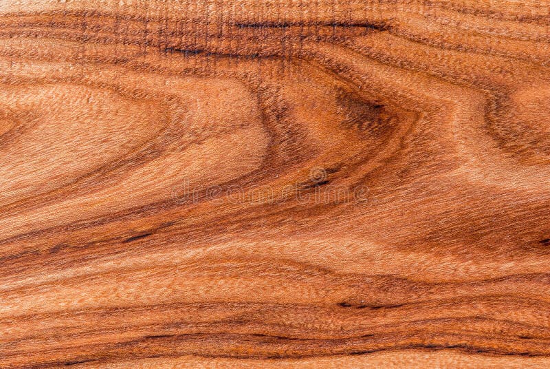 Background, Old Textured Wood, Elm Stock Image - Image of obsolete ...