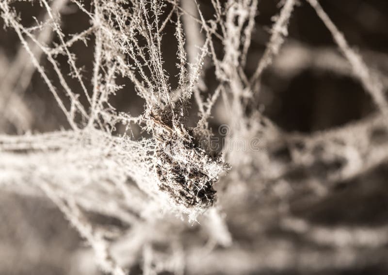 Background from the Old Web Stock Photo - Image of black, glow: 89228774