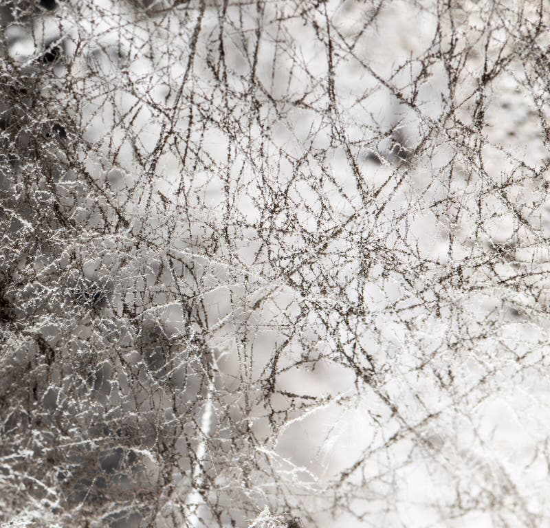 Background from the Old Web Stock Photo - Image of october, graphic ...