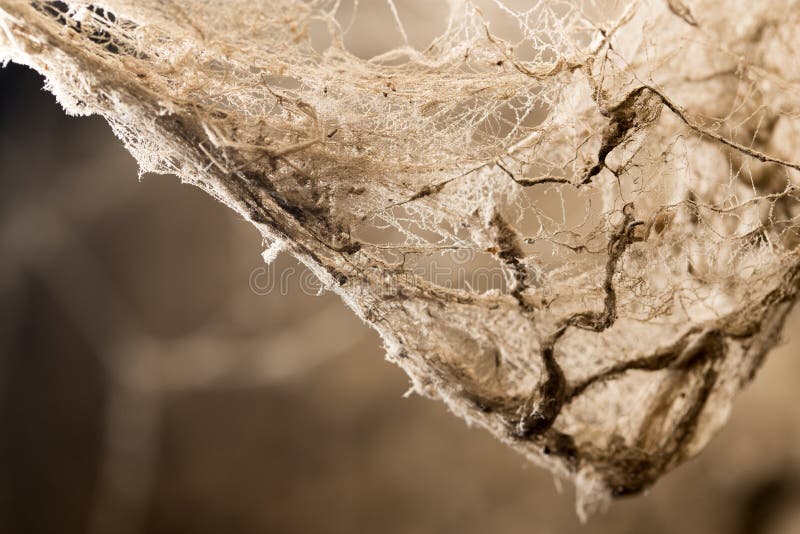 Background from the Old Web Stock Photo - Image of night, meshes: 89229698