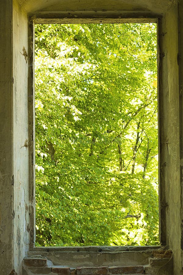 Wooden Window Jungle Green Forest View Stock Photo - Image of closeup ...