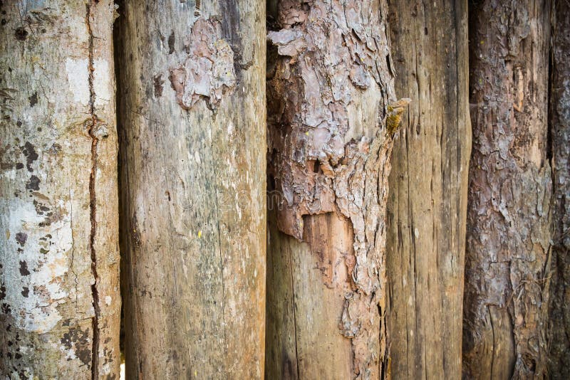 Background of Old Wooden Wall Made of Logs Stock Image - Image of ...