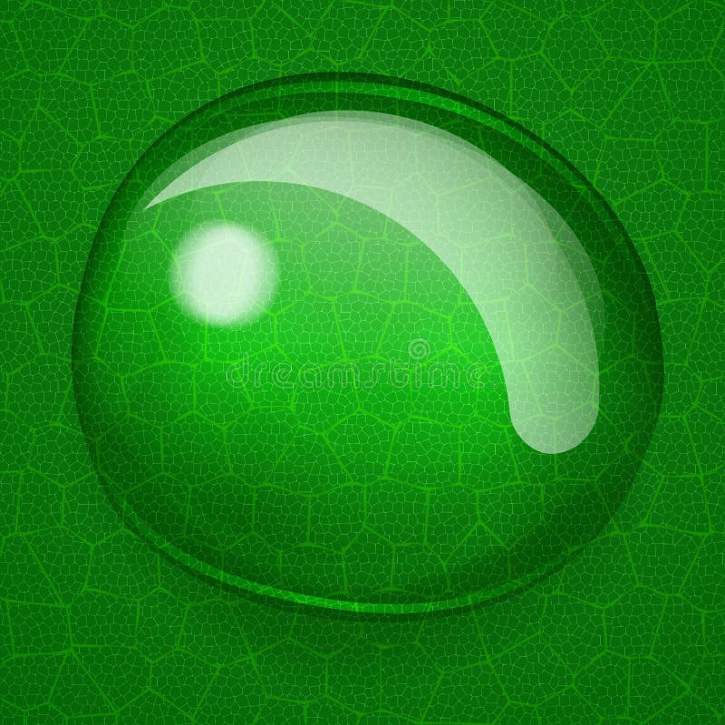 Background with One Big Drop on Green Leaf Stock Vector - Illustration ...