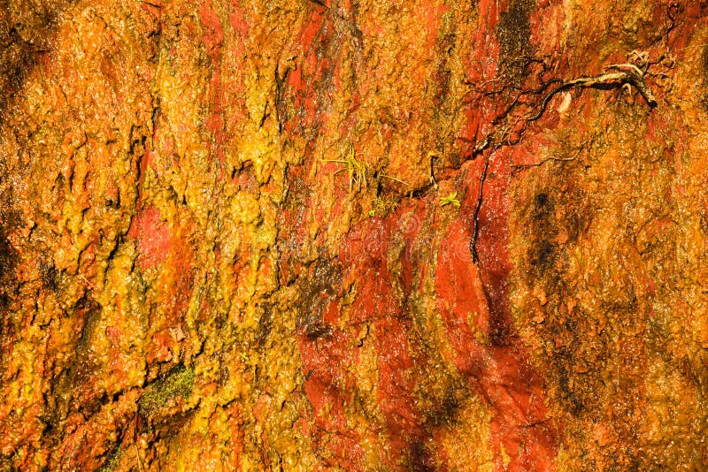 690+ Orange rock texture Free Stock Photos - StockFreeImages