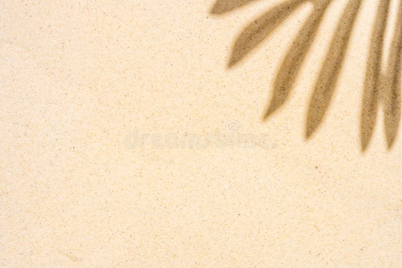 Background of Palm Leaf Shadow on Light Beach Sand with a Place for ...
