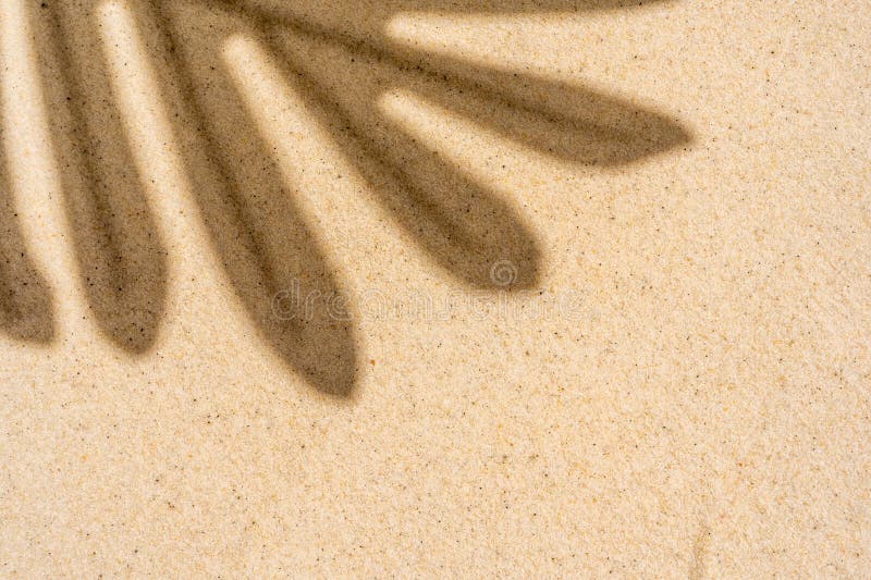 Background of Palm Leaf Shadow on Light Beach Sand with a Place for ...
