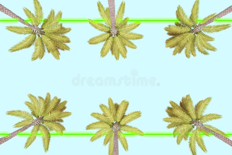 Background with Palm Trees Bottom View Stock Illustration ...