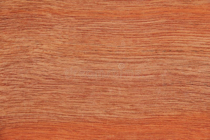 Background Panel with Teak Ply Wood Stock Photo - Image of natural ...