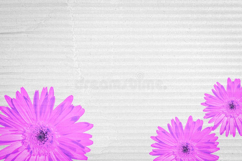 Background of Paper Texture or Cardboard Surface from a Paper Box. with ...