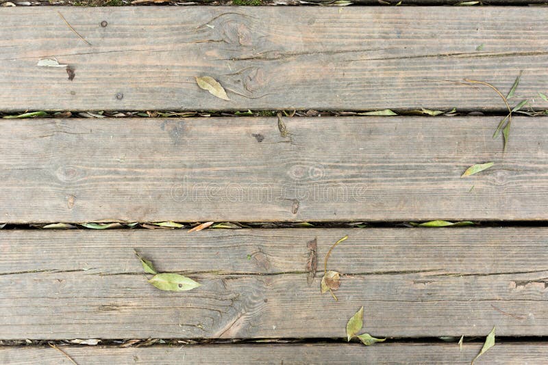 Background Of Parallel Wooden Boards Stock Photo - Image of leaves ...