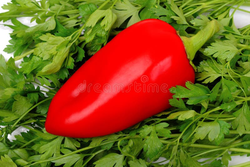 Background from Parsley and Red Pepper with Drops Stock Image - Image ...