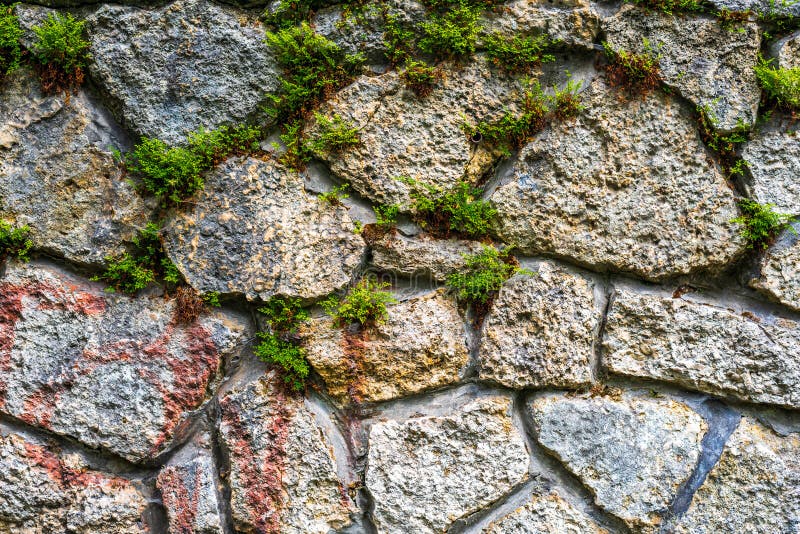 Background, Pattern. Rustic Natural Stones Wall with Green Moss and ...