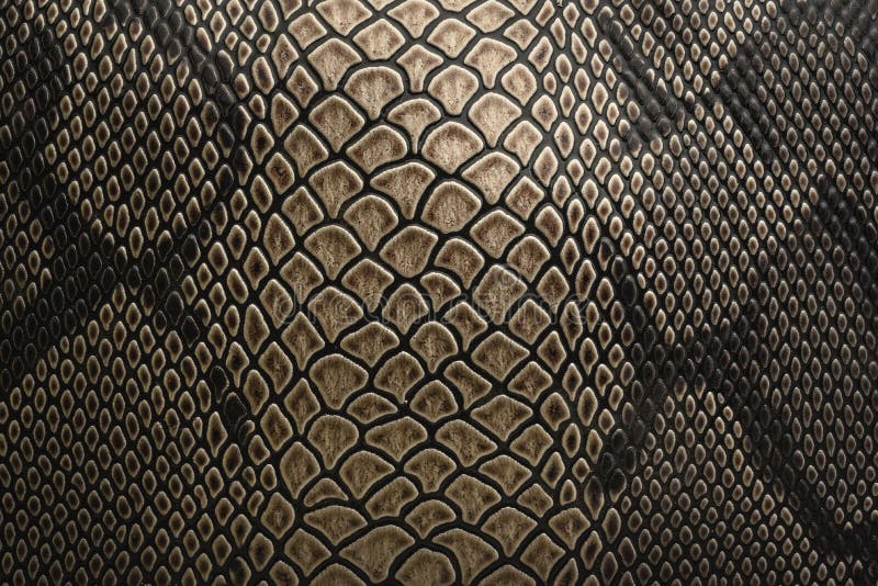 Diamondback Rattlesnake Skin Pattern