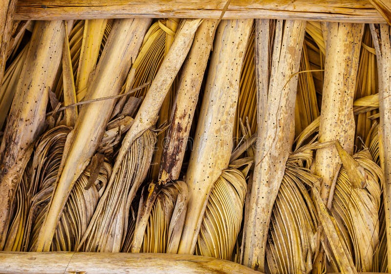 Background Pattern Thatch Wall Texture Stock Photo - Image of abstract ...