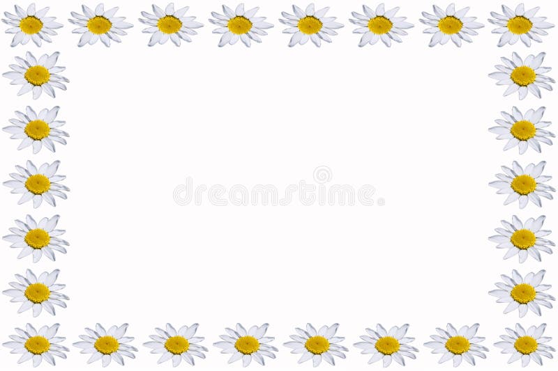 Background, Pattern, White, Flowers, Plants, Spring, Nature, Flo Stock ...