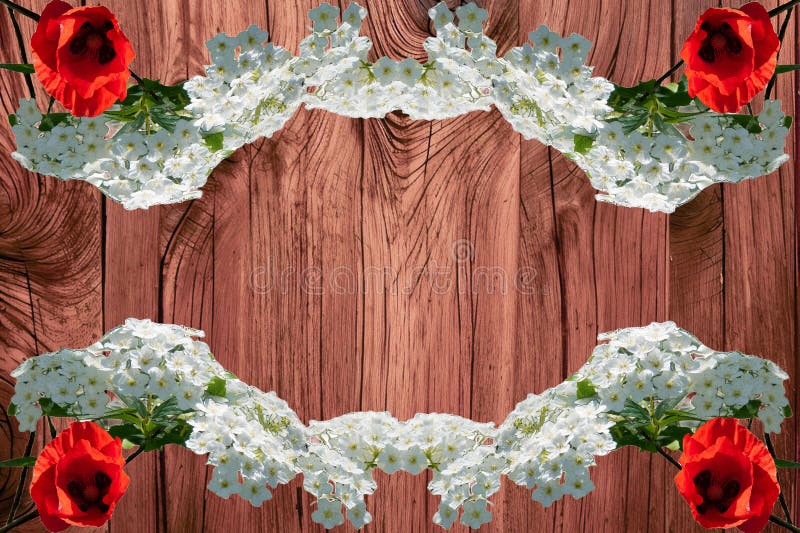 Background, Pattern, White, Flowers, Plants, Spring, Nature, Flo Stock ...