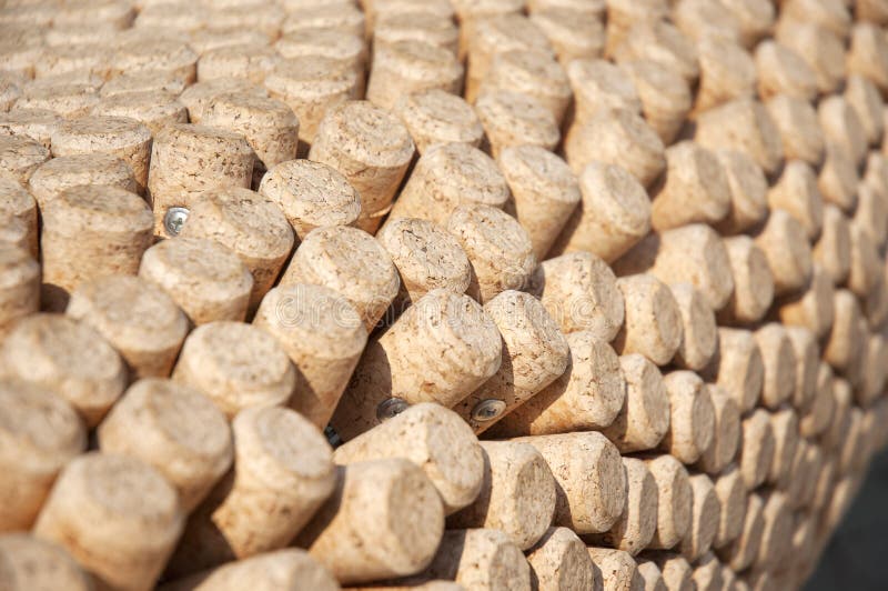 Wine bottles in a cellar stock image. Image of bottle - 25911395