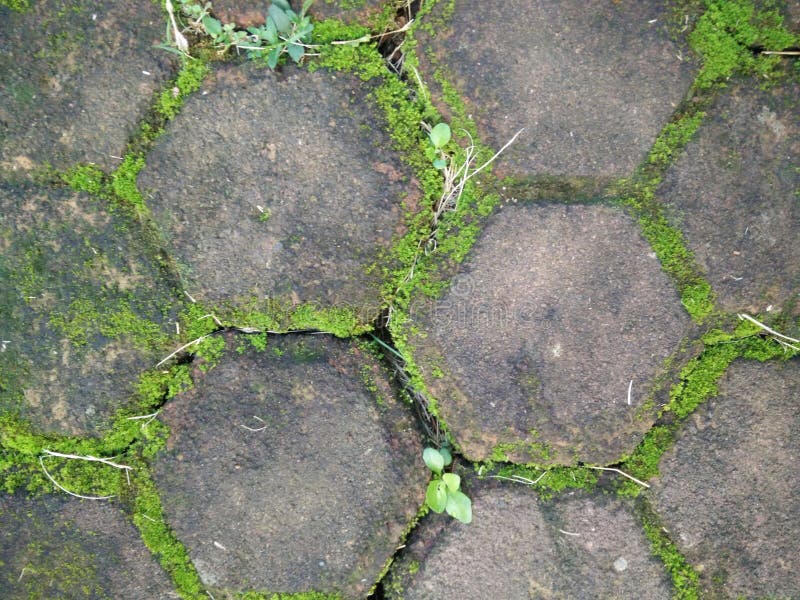 Background from Paving Stones, Irregular Natural Stones Stock Photo ...