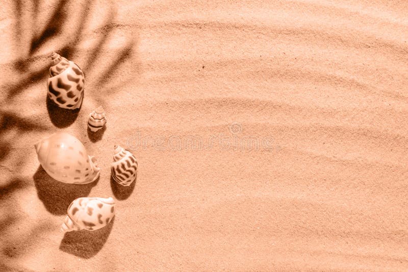 Background of Peach Colour Beach Sand with Space for Text. Stock Image ...