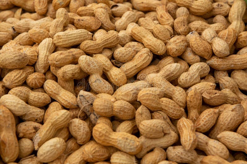 Background of Peanuts stock photo. Image of shell, supermarket - 270825294
