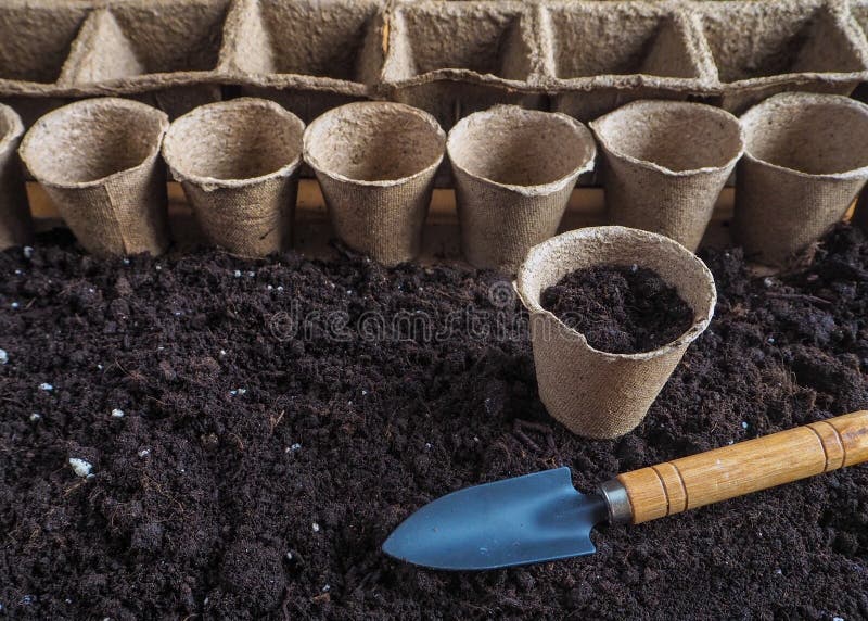 Background with Peat Pots and the Ground. Spring Planting Work. Stock ...