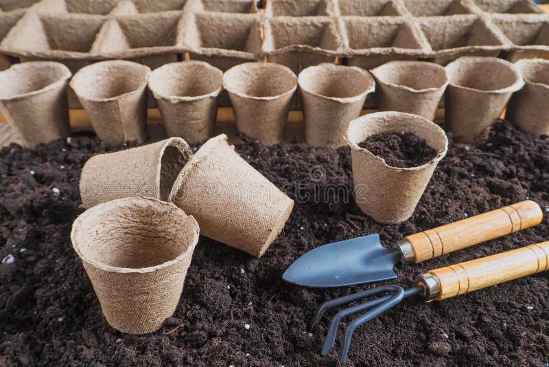 Background with Peat Pots and the Ground. Spring Planting Work. Stock ...