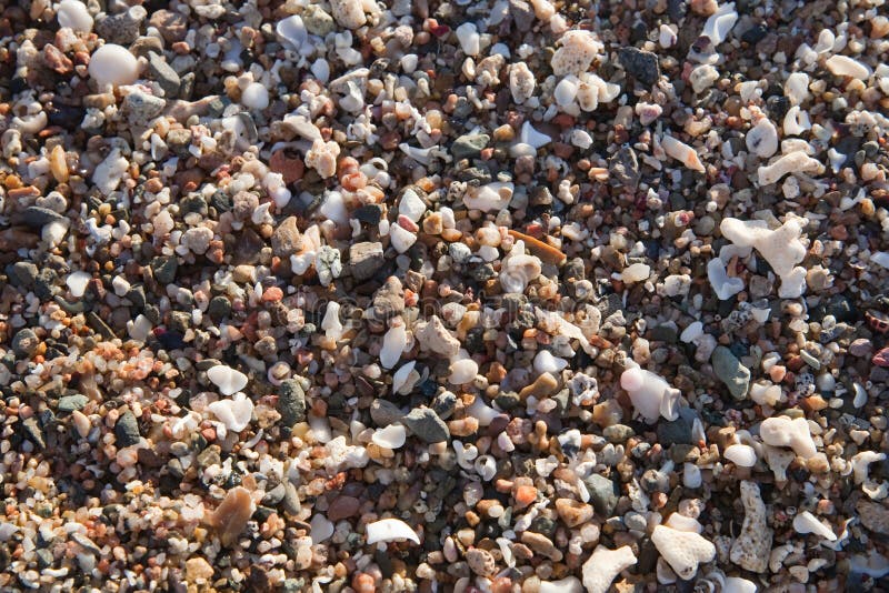 Background of Pebble and Sand Stock Photo - Image of seashell, seaside ...
