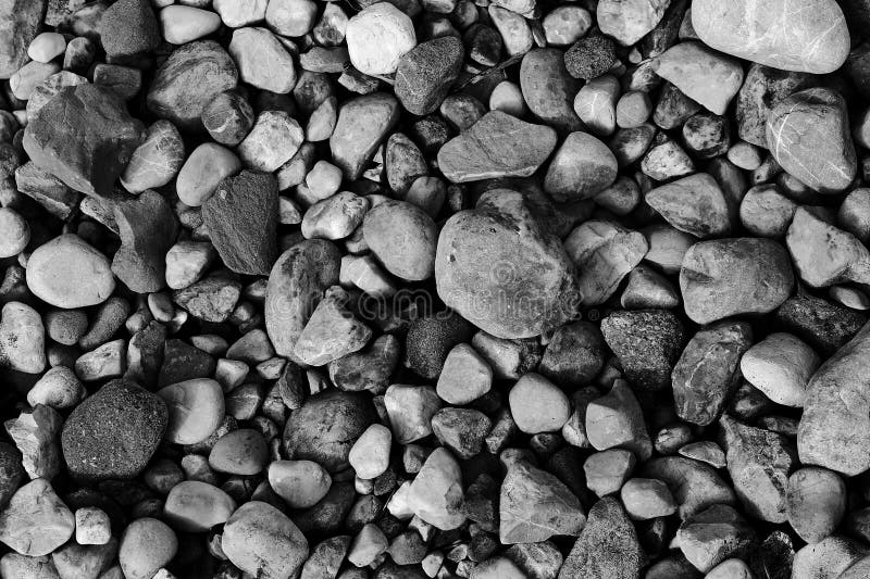 Background of Pebbles of Different Sizes in Black and White Stock Photo ...