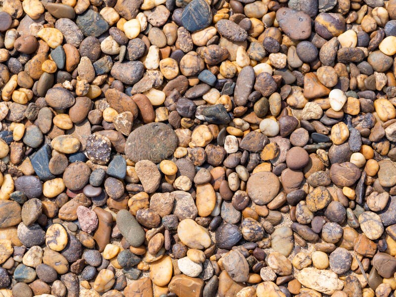 Background of Pebbles. Multicolored Pebbles. River Shore Stock Photo ...