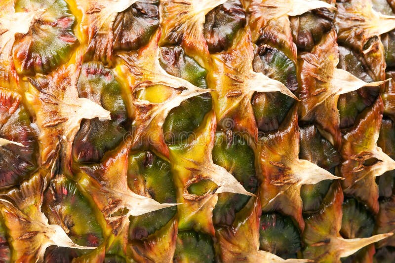 Pineapple close up 3 stock photo. Image of close, healthy - 13349192