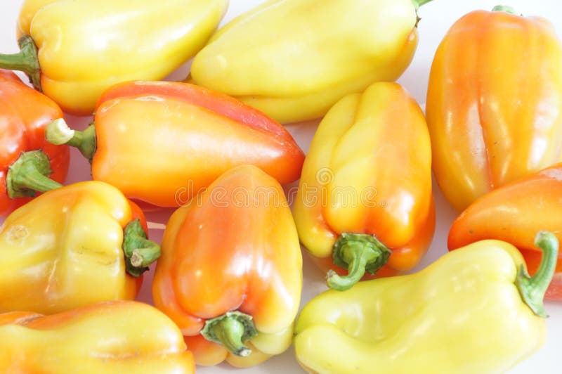 Background of pepper stock image. Image of isolated, animal - 76451709