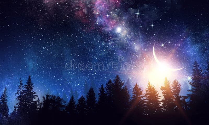 Night forest scene stock photo. Image of dark, deep - 126280666