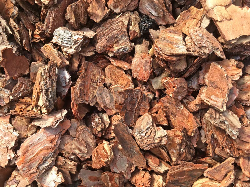 Background from Pieces of Tree Bark Closeup Stock Image - Image of ...