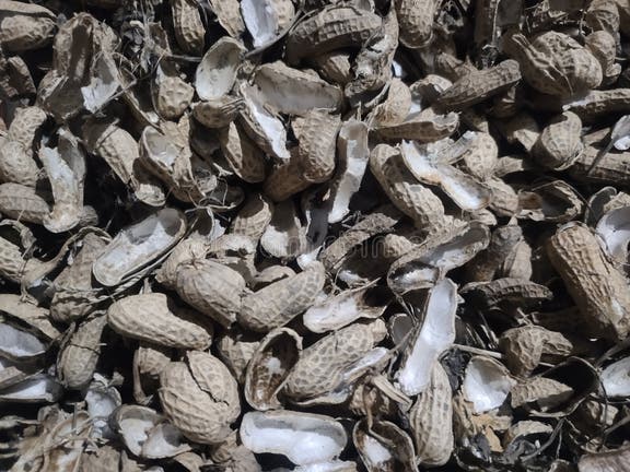 Background of Pile of Peanut Shells Stock Image - Image of produce ...