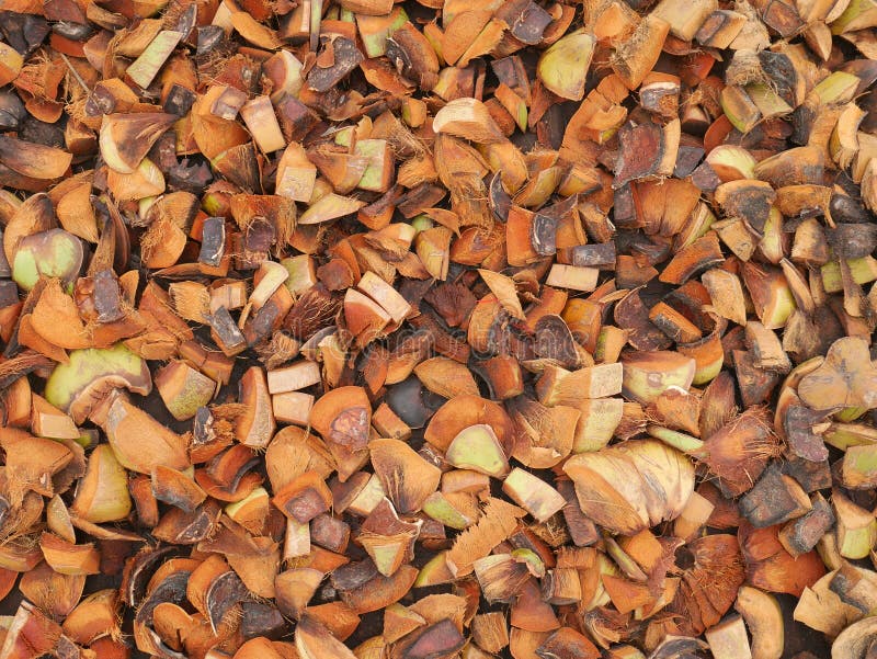 Tropical Coconut Skin Background for Digital Use Stock Photo - Image of ...