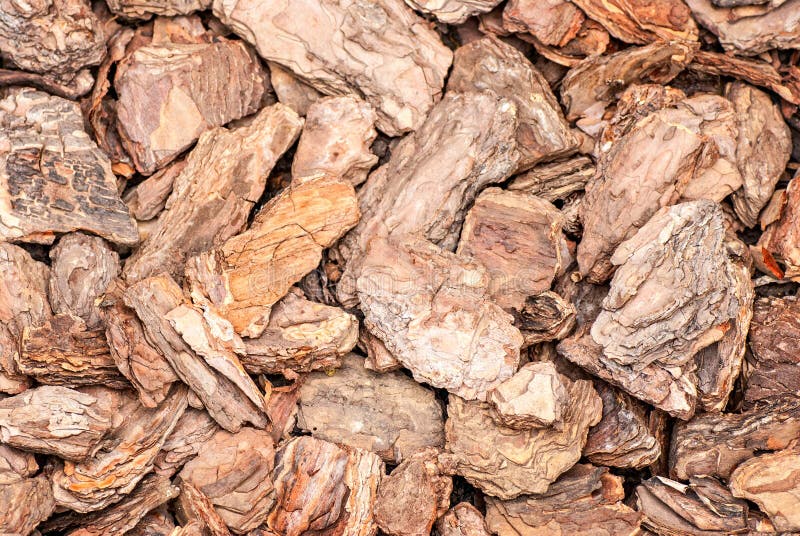 Pine Bark Mulch stock image. Image of tree, compost, material - 1541595